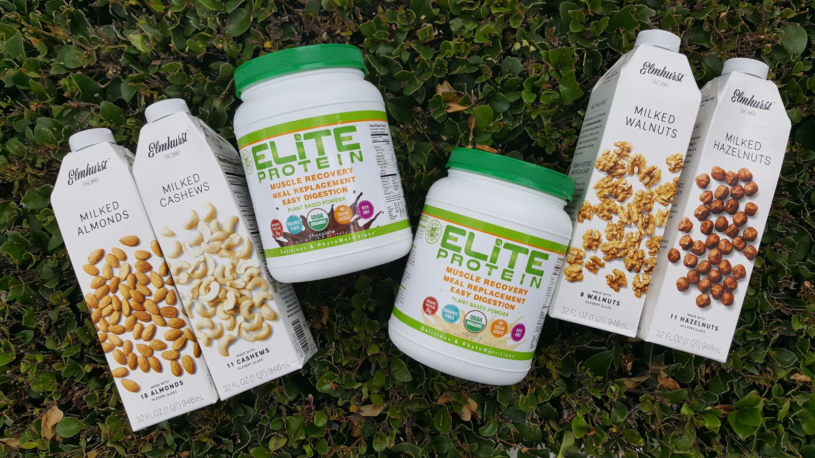 Make The Ultimate Smoothie with Elite Protein + Elmhurst Milked